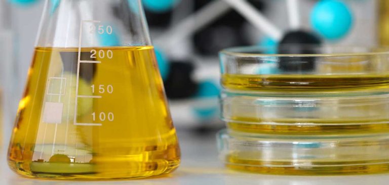 What to Know About Biodiesel Products - Guttman Energy