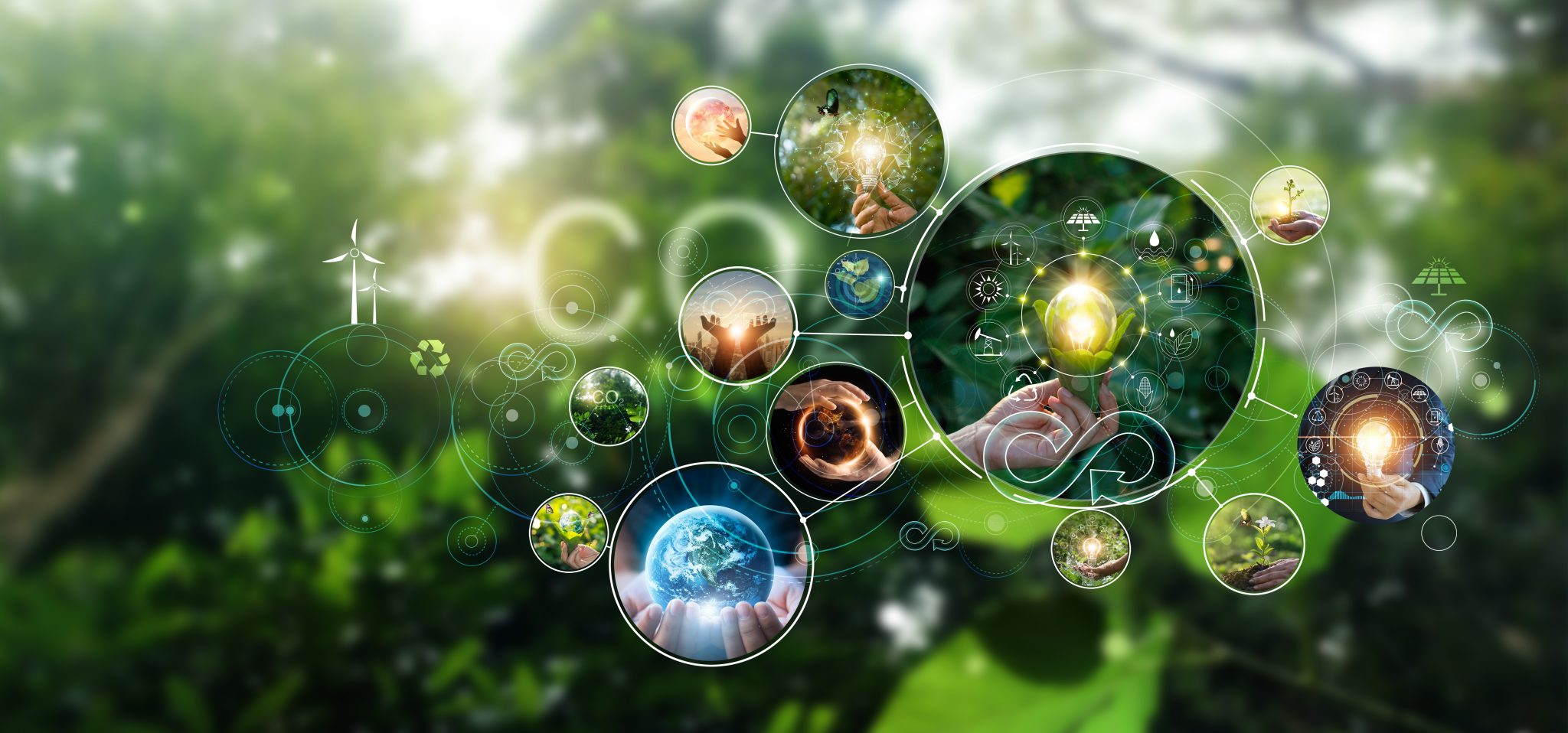 A Brief History of Carbon Offsets - Guttman Energy